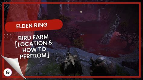 Elden Ring Best Curved Swords Locations Pros Cons