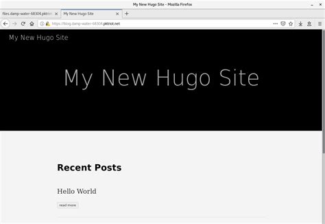 Setup Packetriot Using Docker On Linuxunix