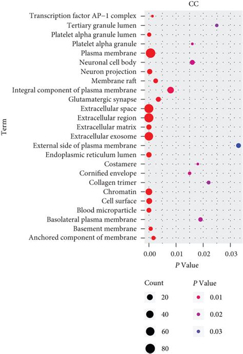 Kegg And Go Functional Enrichment Analyses A Bp Enrichment B Cc
