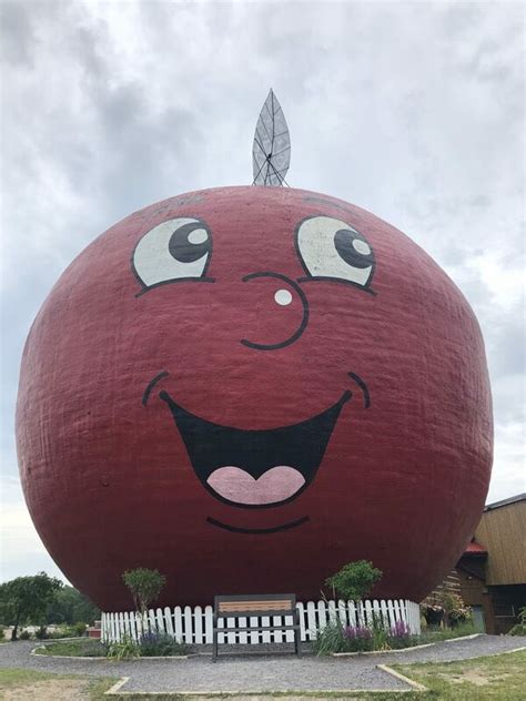 Tay Taylor Reed Twitter