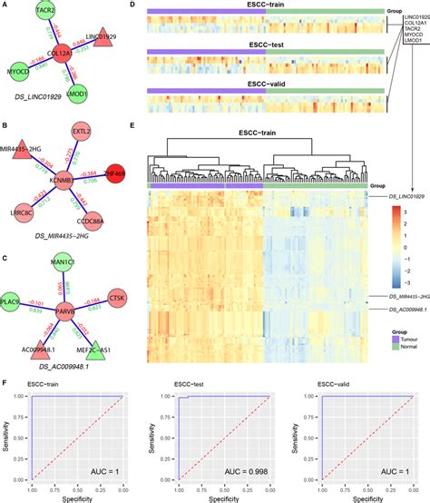 Discrimination Of Differential Subnetworks Three Discriminative Download Scientific Diagram