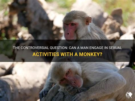 The Controversial Question Can A Man Engage In Sexual Activities With A Monkey Petshun The Controversial Question Can A Man Engage In Sexual Activities With A Monkey Petshun