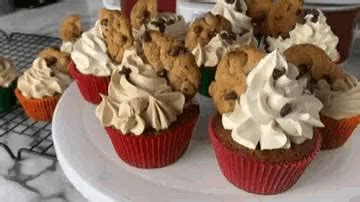 Cupcake Cupcakes  Cupcake Cupcakes Eating Discover And Share S