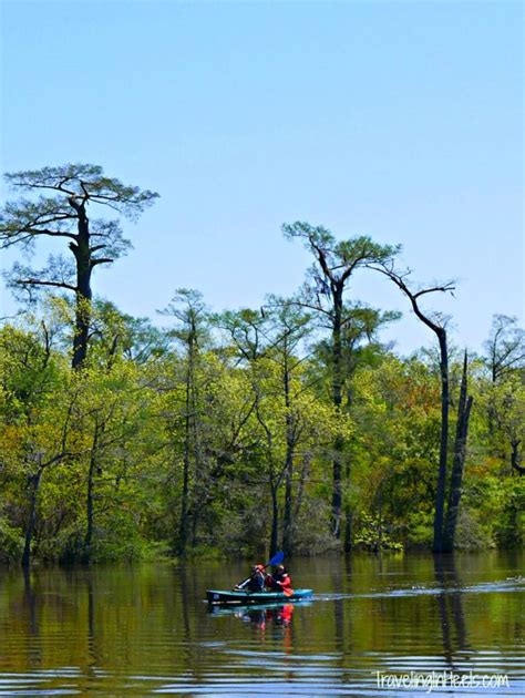 Beaumont Texas Paddling The Neches River
