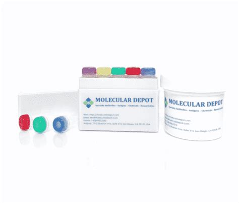 Epoxy Magnetic Agarose Beads Molecular Depot