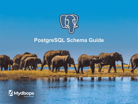 what is a postgresql schema a beginner s guide