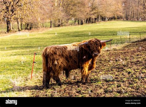 Spring Hike Through The Unique Werra Valley Near Vacha Thuringia
