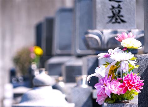 お盆にお墓参りが行けない場合はどうする？対処法を紹介します！ ぴっと社寺net