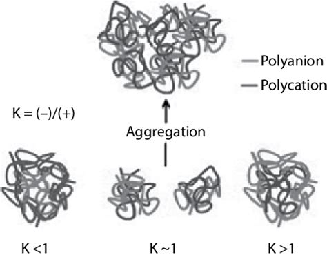 14 Schematic Illustration Of Formation Of Chitosan Alginate Pec As Download Scientific Diagram