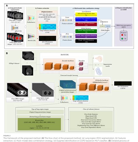 Figure 2 From Multi Modal Data Combination Strategy Based On Chest Hrct Images And Pft