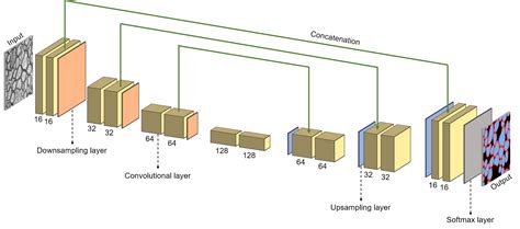 Github Axondeepsegaxondeepseg Axonmyelin Segmentation Using Deep