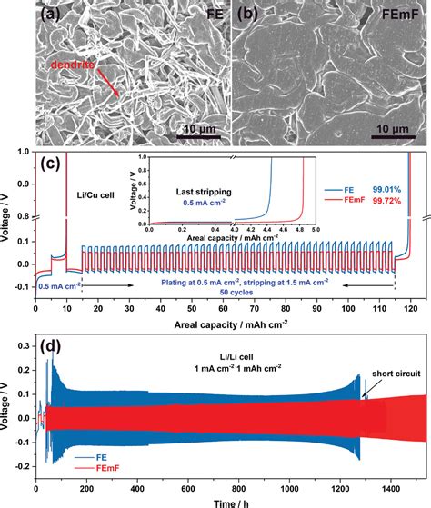Locally Concentrated Ionic Liquid Electrolyte With Partially Solvating