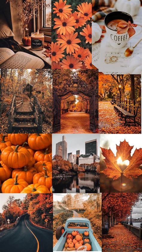 Fall Aesthetic Wallpapers Backgrounds