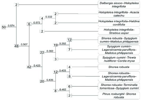 Twinspan Dendrogram With Interpreted Clusters Up To The Sixth Level Of Download Scientific