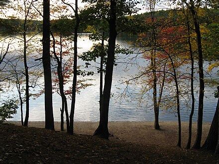 Henry David Thoreau Wikipedia