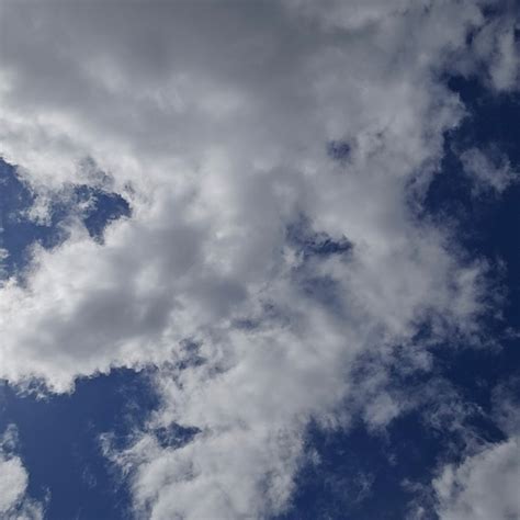 Simret Daniel Youtube