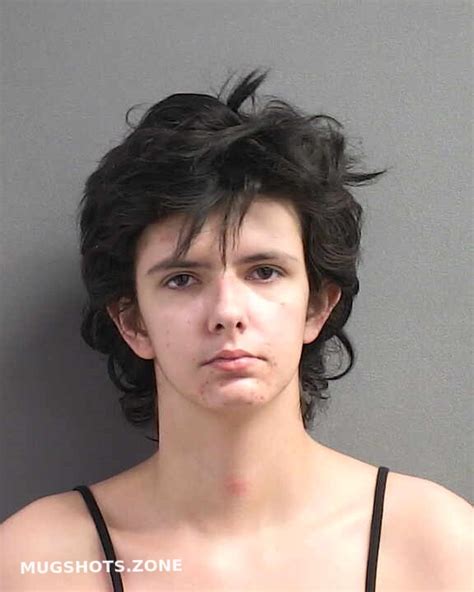 Frediani Corrisa M 05 31 2024 Volusia County Mugshots Zone