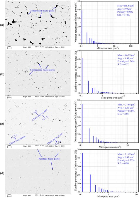 Sem Images And Statistical Analysis Of Micro Pores At The Center Download Scientific Diagram