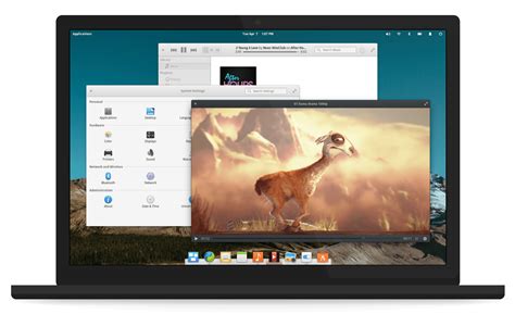 Linux Installations Service Rockiger