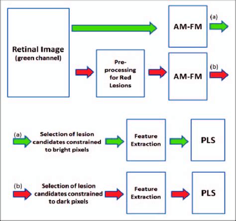 Block Diagram Of Our Approach To Detect Hard Exudates And Red Lesions Download Scientific