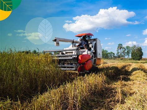 Combine Harvester Mesin Panen Padi Masa Kini Gokomodo