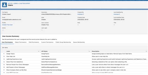 7 Salesforce User Management Best Practices Salesforce Ben