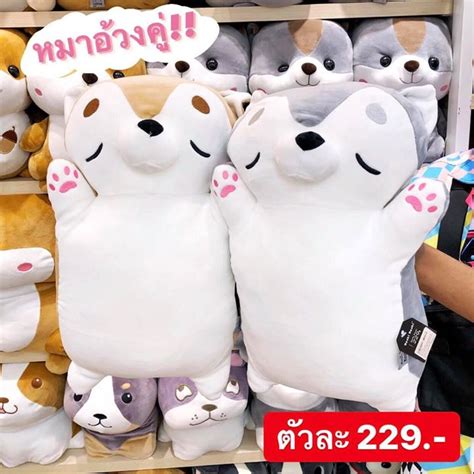 Moshi Moshi ตุ๊กตาน้องสัตว์ปุ๊กลุก กอดนุ่มนิ่ม เห็นแล้วรักเลยอ่ะ ปัน