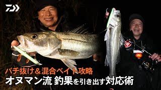 シーバス バチ抜け混合ベイト攻略 オヌマン流釣果を引き出す対応術DAIWA Salt Lure ChannelつりZINE