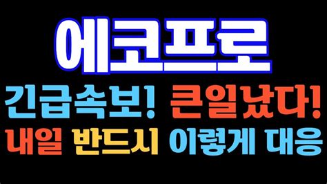 에코프로 긴급속보 큰일났다 내일 반드시 이렇게 대응 에코프로주가 에코프로주가전망 에코프로전망 Youtube