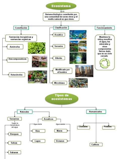 Mapa Conceptual Ecosistemas 3 Pdf