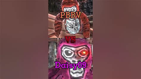 Daisy09 Vs Pbbv Gorrillatag Gtag Oculusquest2 Vr Youtube