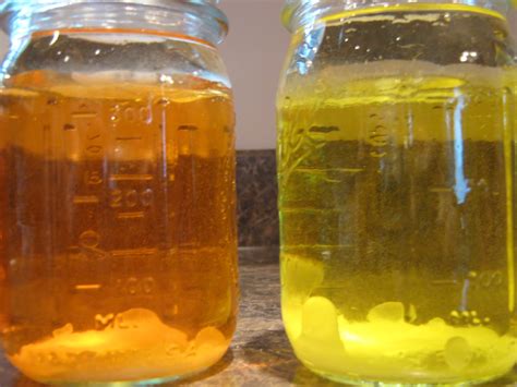 Almost Unbabeers More Fun With Oil And Water Density Rainbow Lava Lamps And Ocean Bottles