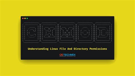 Understanding Linux File And Directory Permissions A Detailed Guide Rostechnix