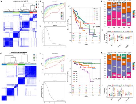 Hcc Immune Subtypes A Heat Map Of Sample Clustering In The Tcga Download Scientific Diagram