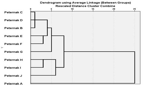 Spss Analisis Klaster Cluster Analysis