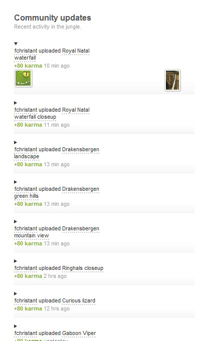 Css Insane Chrome Issue Chrome Renders Twisties Stack Overflow