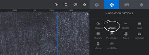 Navigation Arrows Slider Revolution