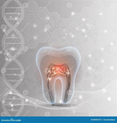 Tooth Disorders Set Flat Vector Illustration Healthy And Unhealthy