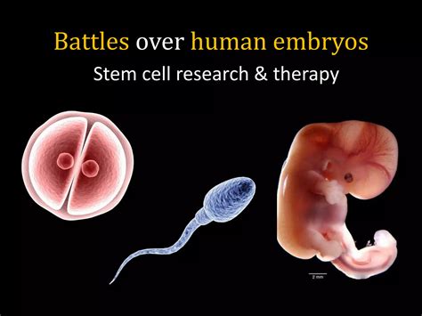 Stem Cell Latest Applications 2016 Ethical Issues Laws In India Pdf
