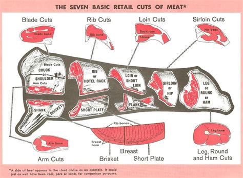 Pork Chart Cuts Of Meat
