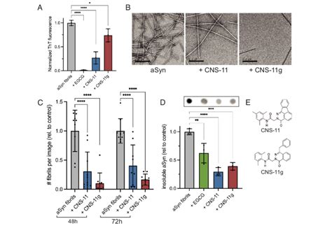 In Vitro Characterization Of Alpha Synuclein Fibril Disaggregation A