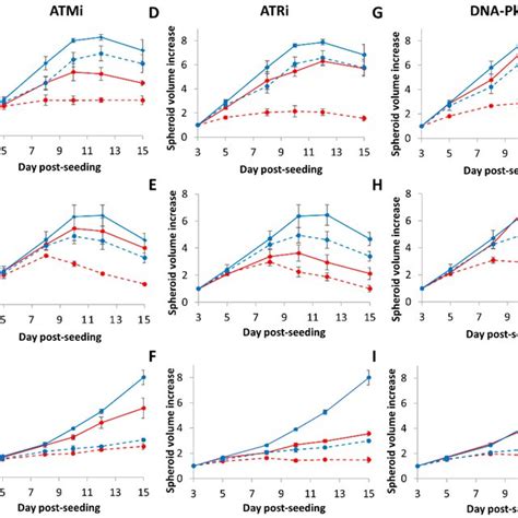 inhibition of atm atr and dna pkcs in combination with photons can