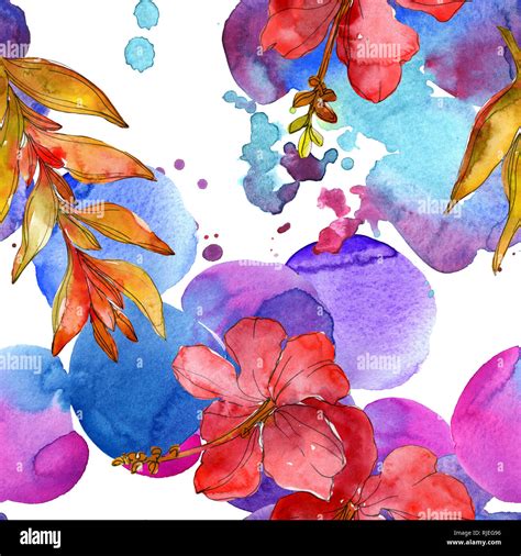 Loral Botanical Flower Wild Spring Leaf Wildflower Isolated Watercolor Background Illustration