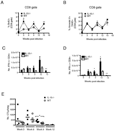 CD T Cell Effector Functions Following M Tuberculosis Infection A Download Scientific