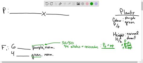 Solved 1 Based On Your Observations What Are The Phenotype And Genotype Of The P1 Plant What