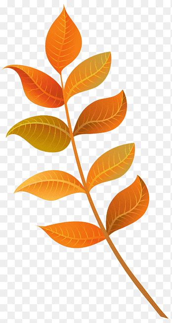 가을나뭇잎 Png 이미지 Pngegg