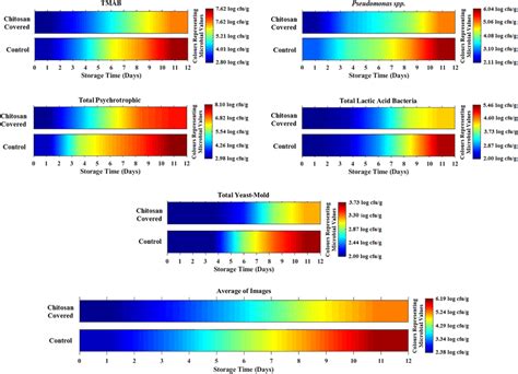 Image Representation Of The Interpolation Curves Showing The Download Scientific Diagram