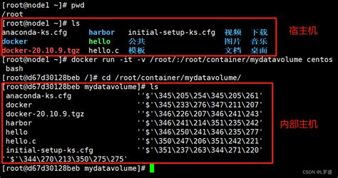 Docker容器中的数据管理docker中数据卷volume管理的两种方式 Csdn博客