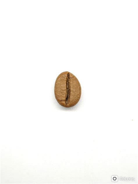 Robusta Coffee Bean Defects Instance Segmentation Dataset By Roasted