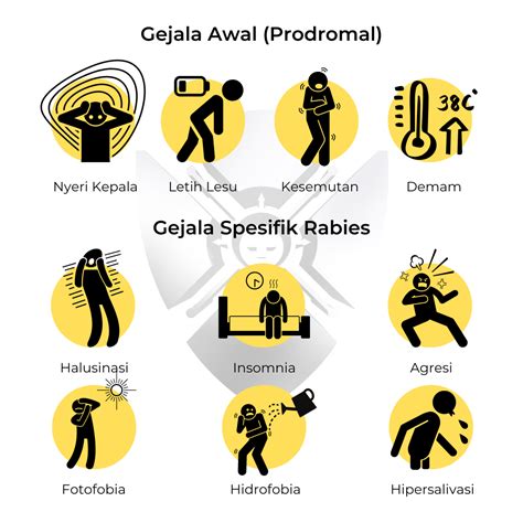 Panduan Anti Gagal Pahami Penyakit Rabies Vaxcorp Indonesia